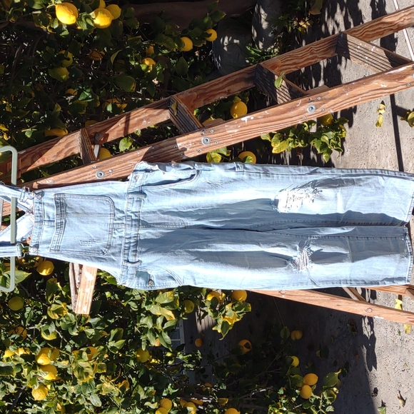 wild fable | Jeans | Wild Fable Light Wash Denim Distressed Bib ...